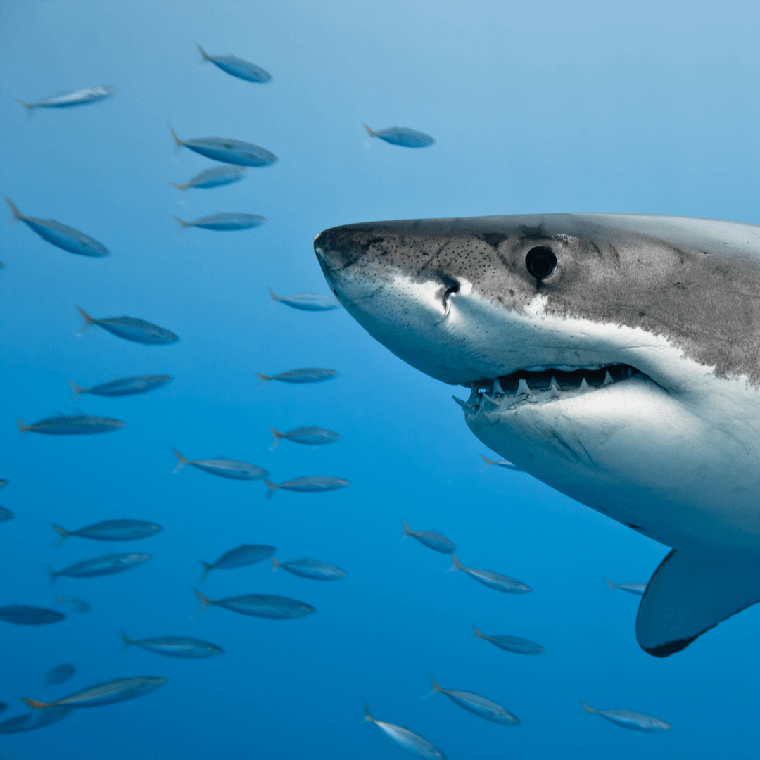 How to use Exposure Therapy for Social Anxiety - You're worth knowing